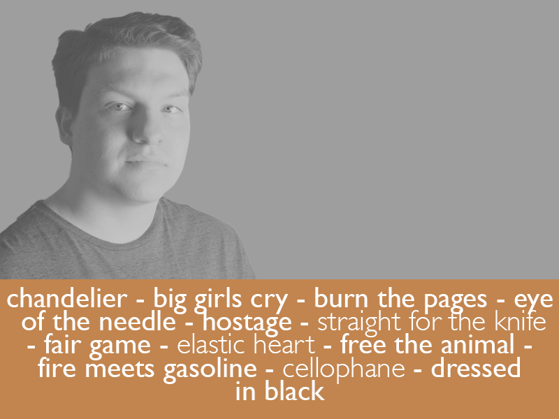 Flip book – Chad Troyer